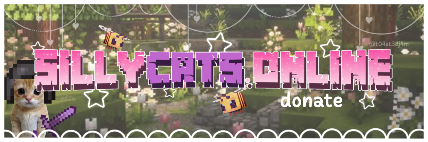 Donate to Silly Cats SMP